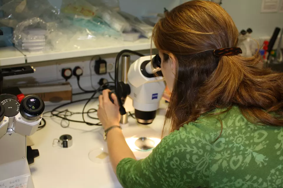 We’re celebrating International Day of Women and Girls in Science ...